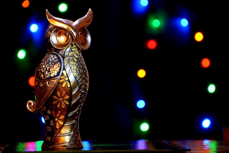 Creative Lighting Photography Course in Rural Leicestershire